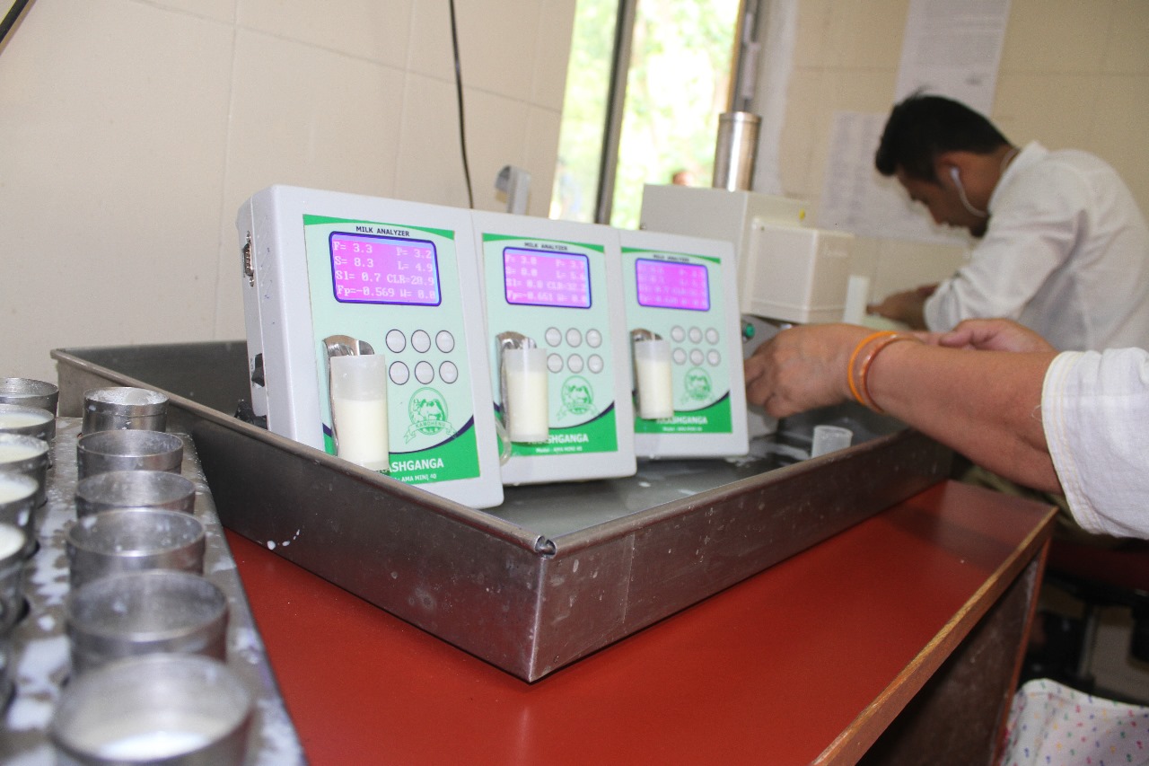 Sikkim Milk