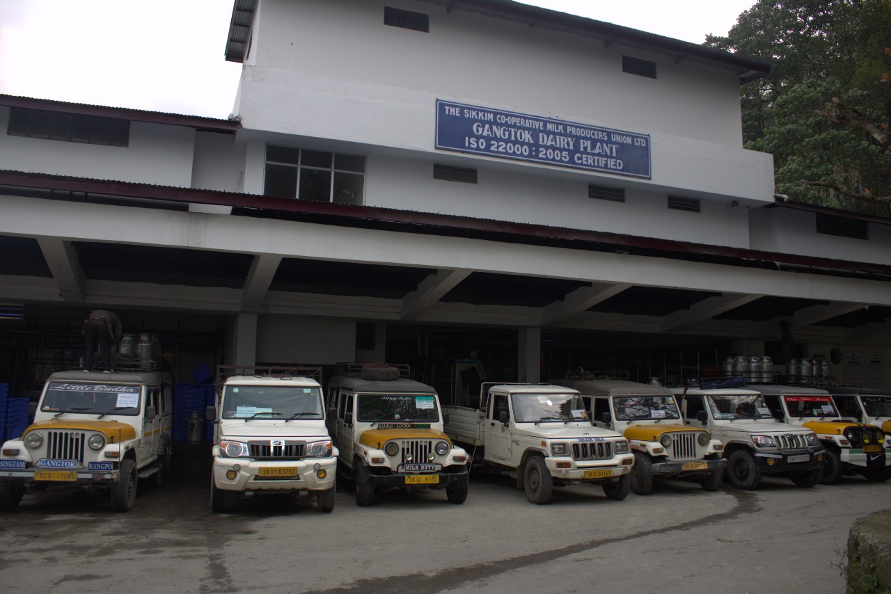 Sikkim Milk
